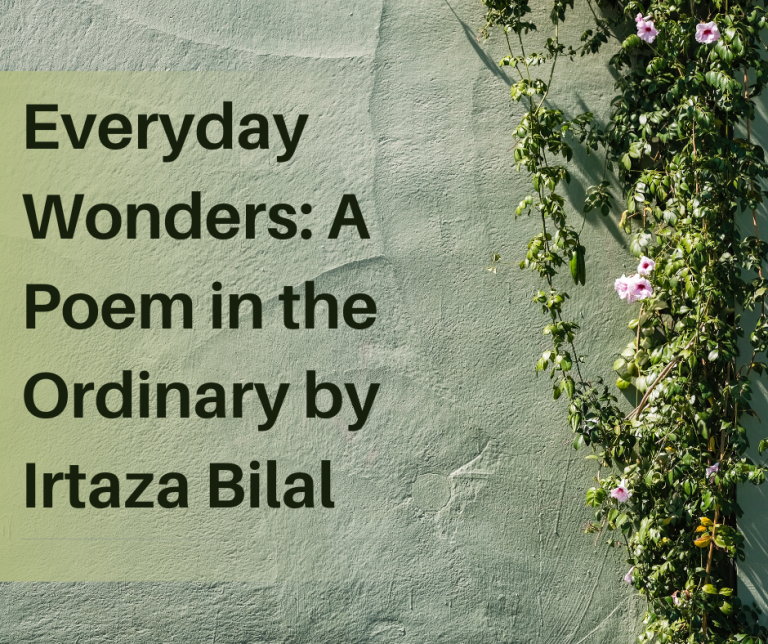 Everyday Wonders: A Poem in the Ordinary - Irtaza Bilal